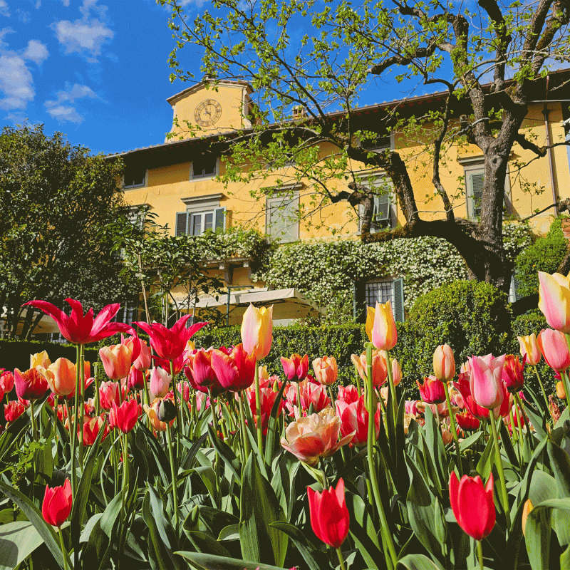 I Tatti | The Harvard University Center for Italian Renaissance Studies